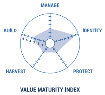 Accelerating Value—5 Stages of Value Maturity and Value Maturity Index ...
